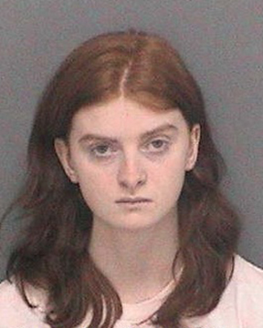 Potential school shooter arrested | morgancountycorrespondent.com